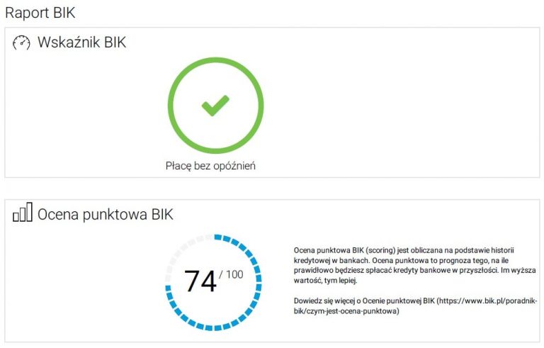 Jak sprawdzić czy jestem w BIK? Jak pobrać raport BIK? | Finanse Dla Ciebie