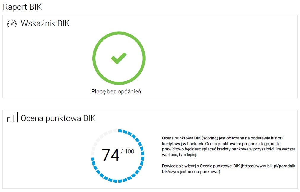 Jak sprawdzić czy jestem w BIK? Jak pobrać raport BIK? | Finanse Dla Ciebie